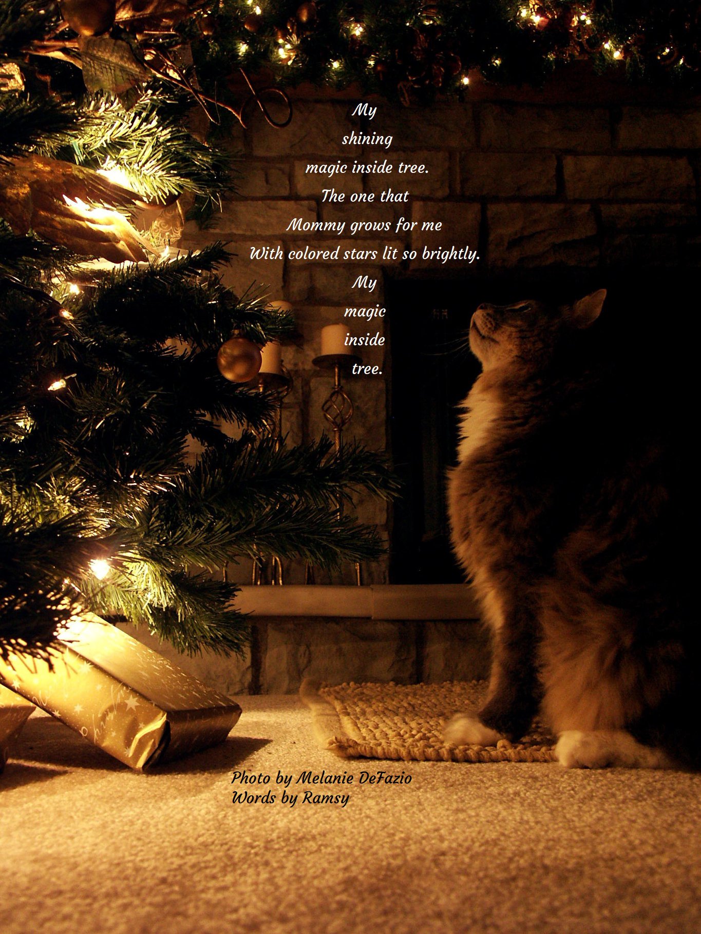 Magic Inside Tree – Ramsy's Joint